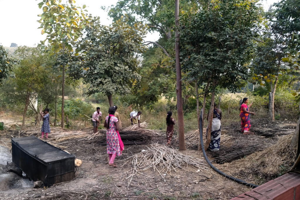 KANAJA for Serendipity Art Festival Archives