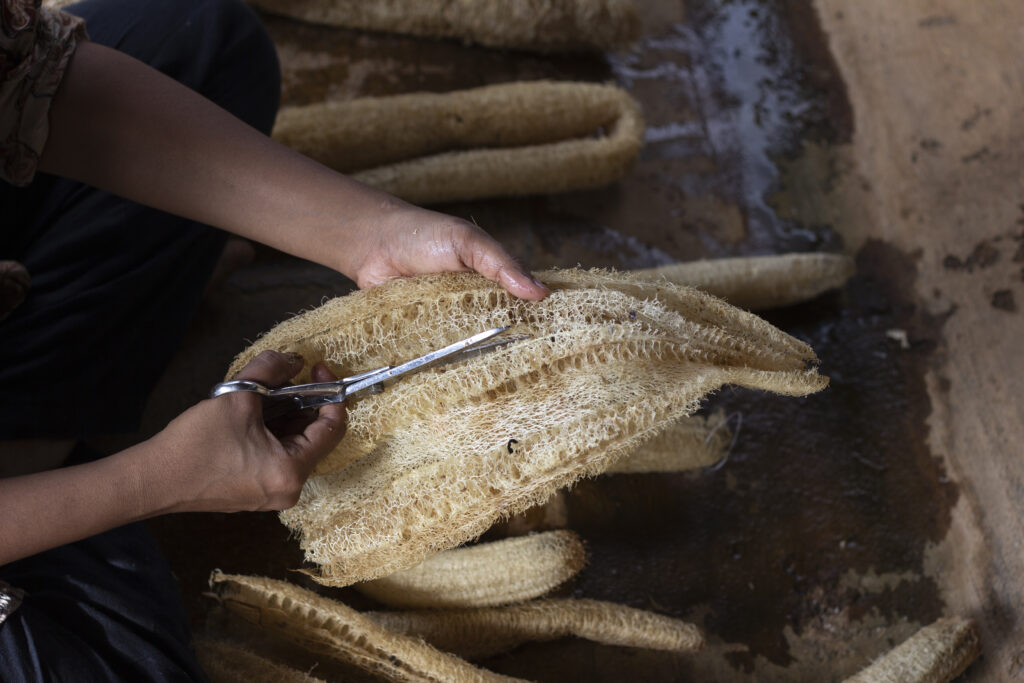 KANAJA for Serendipity Art Festival Archives