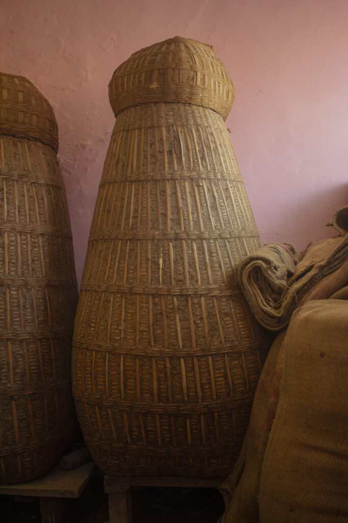 KANAJA for Serendipity Art Festival Archives