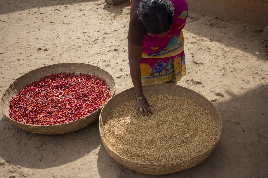 KANAJA for Serendipity Art Festival Archives