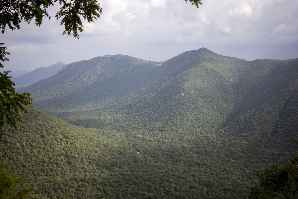 KANAJA for Serendipity Art Festival Archives